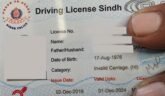 Sindh Government Launches Online Driving License Services for Citizens ...